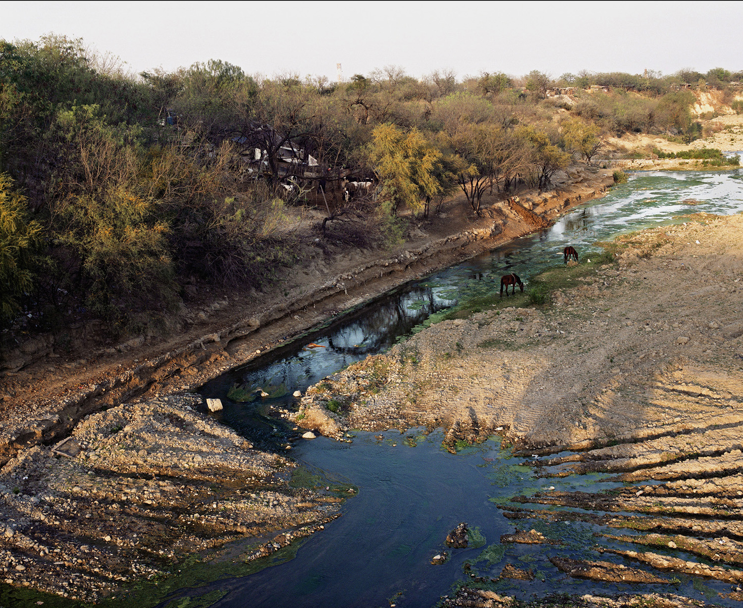 2009 Portfolio Prize Runner Up: Alejandro Cartagena | Aperture