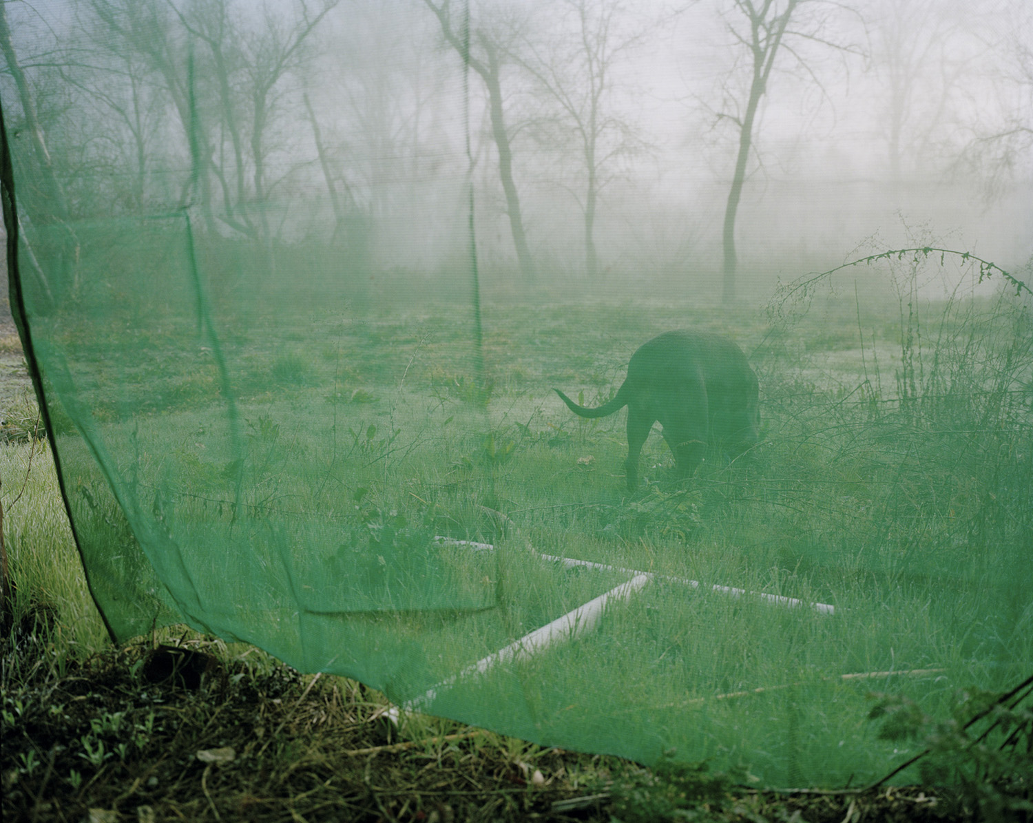 2009 Portfolio Prize Runner Up: Maureen Drennan | Aperture