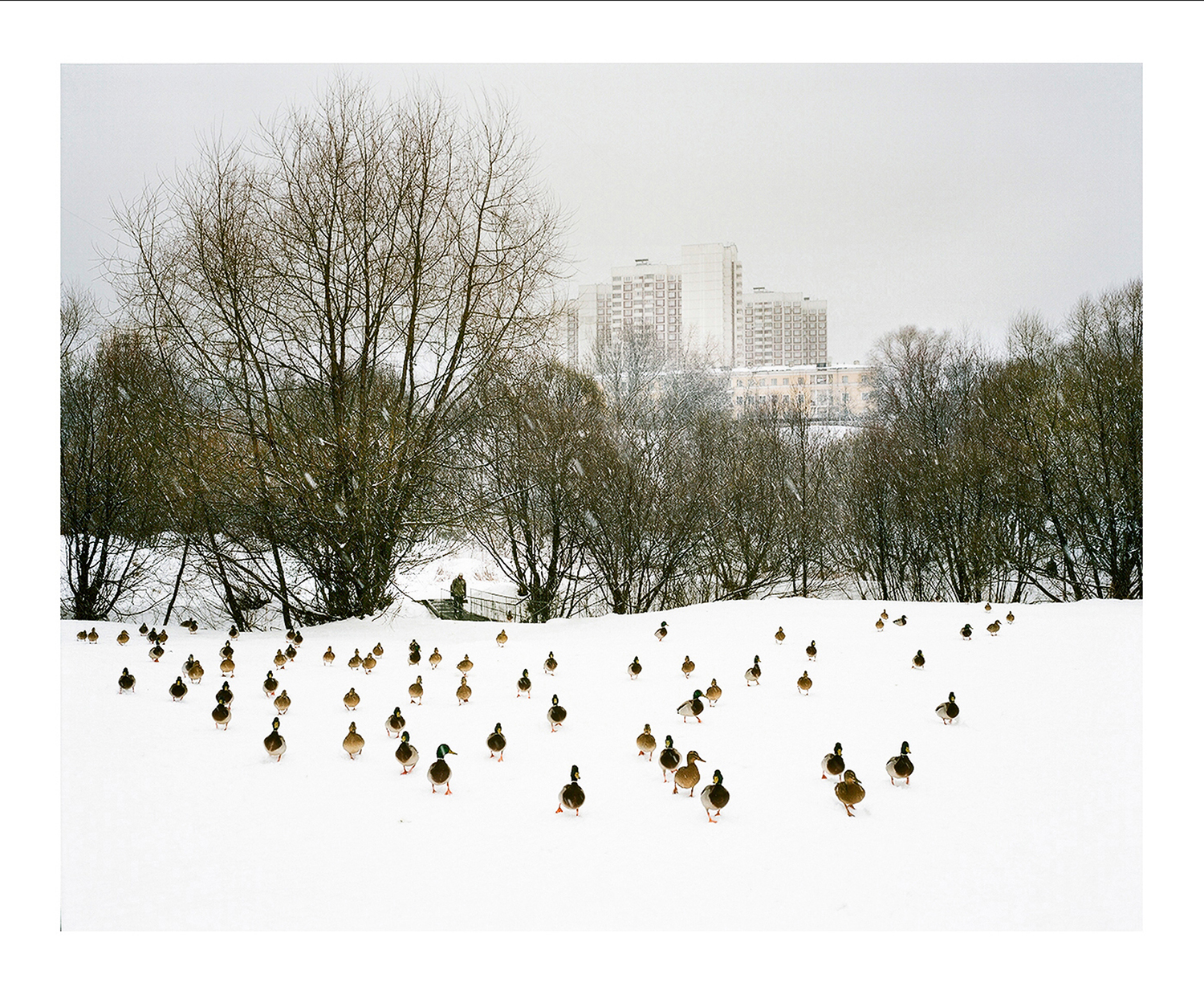 2009 Portfolio Prize Winner: Alexander Gronsky | Aperture