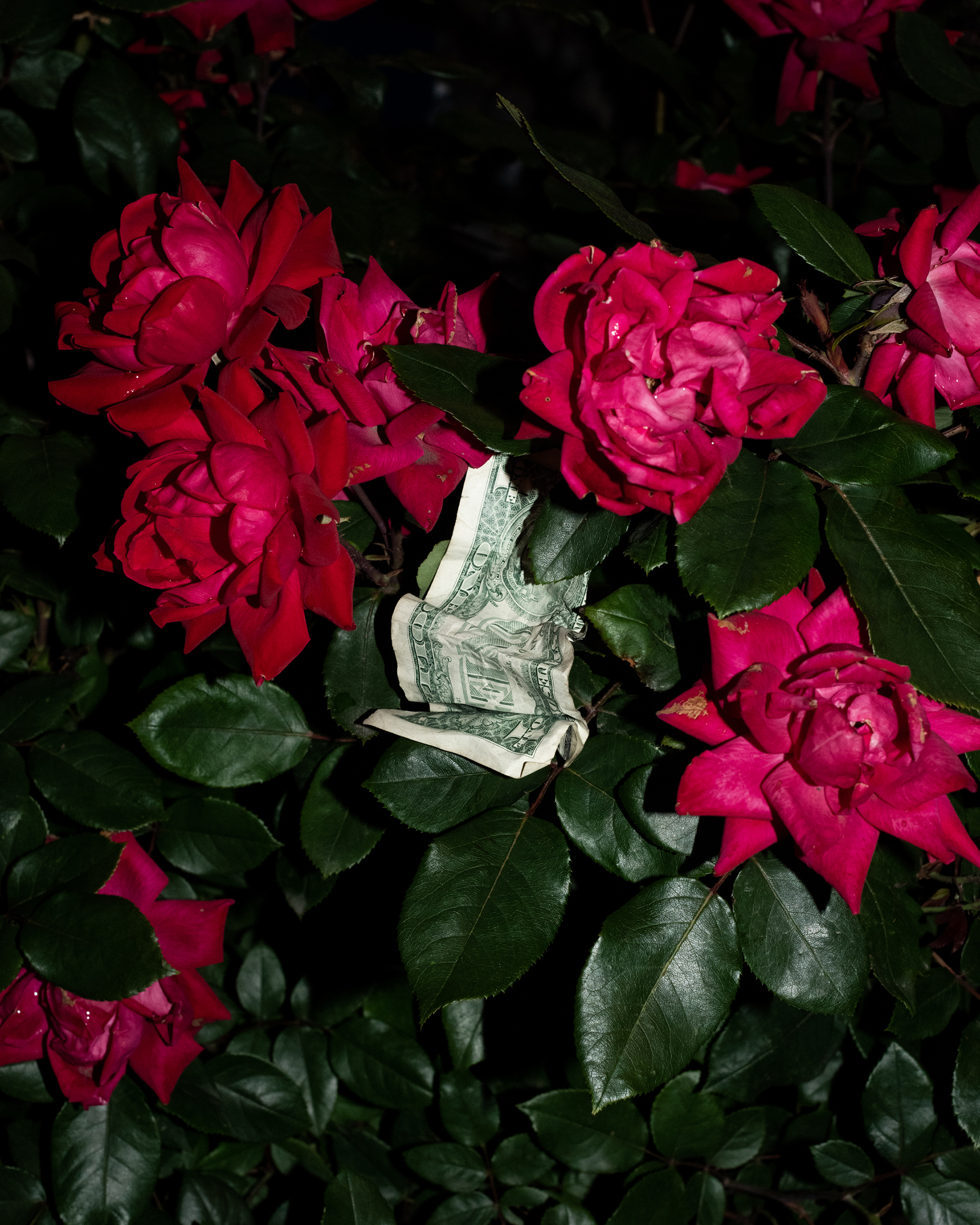 Announcing Zora J Murff as the Recipient of the Inaugural Next Step Award