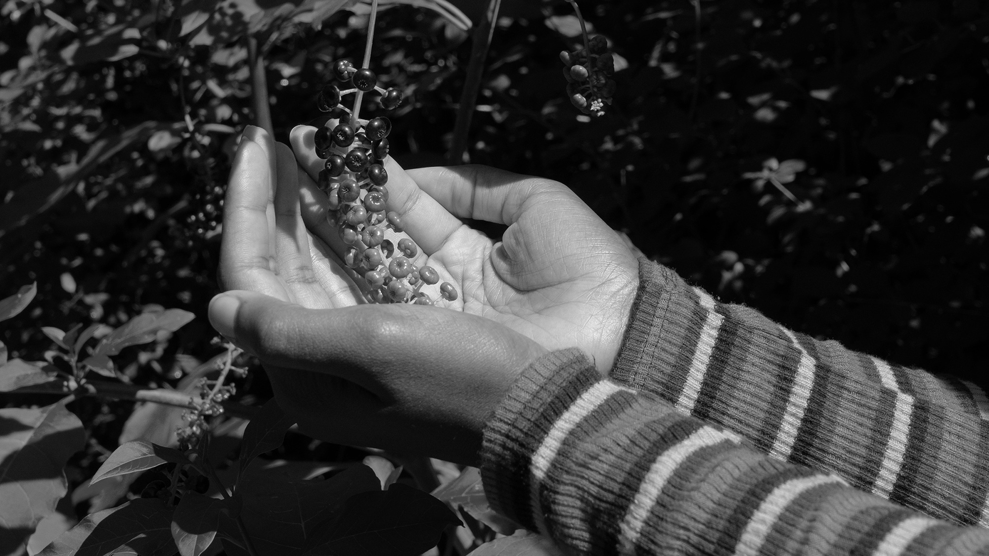 The Photographer Who Erased Time