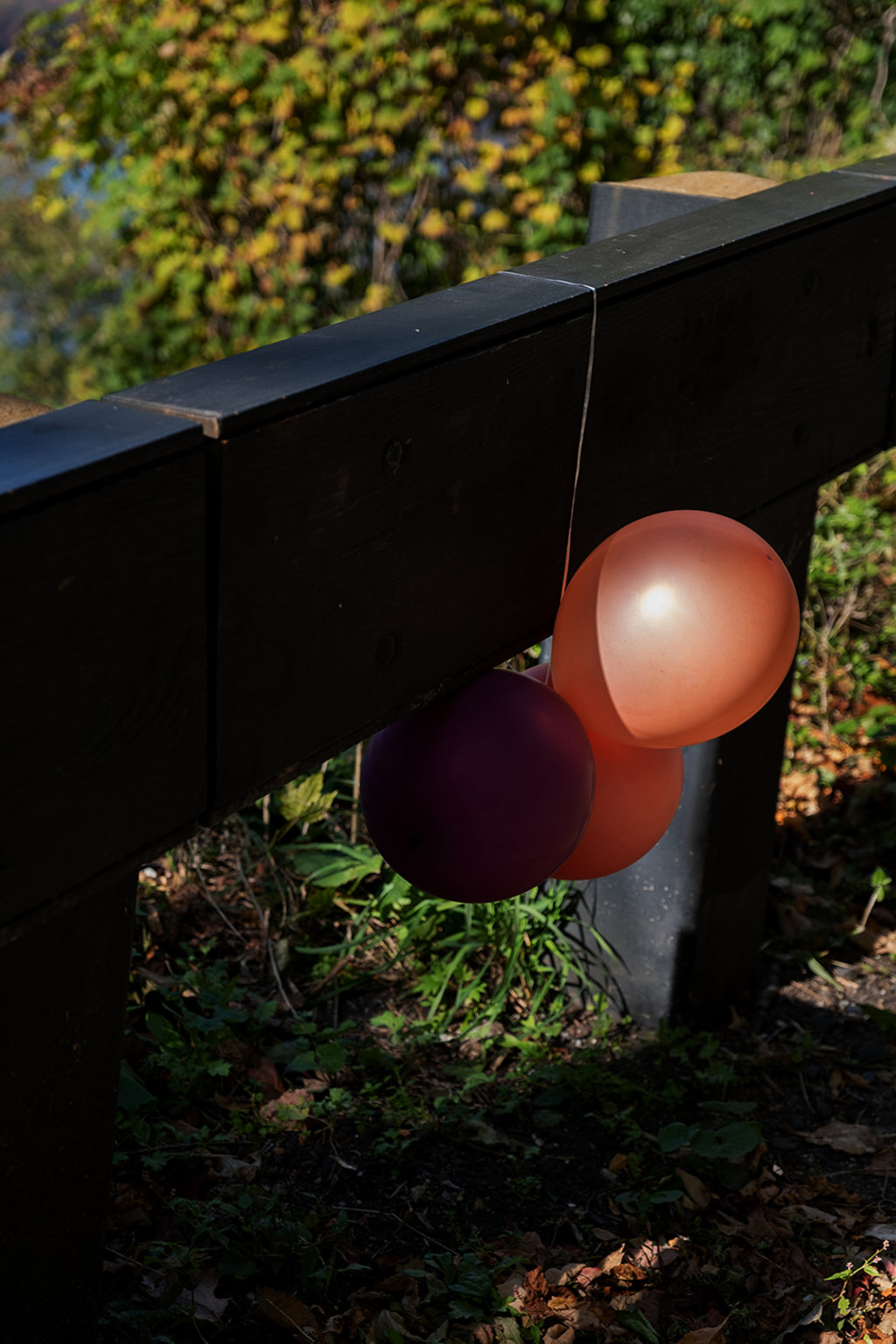 The Photographer Who Erased Time