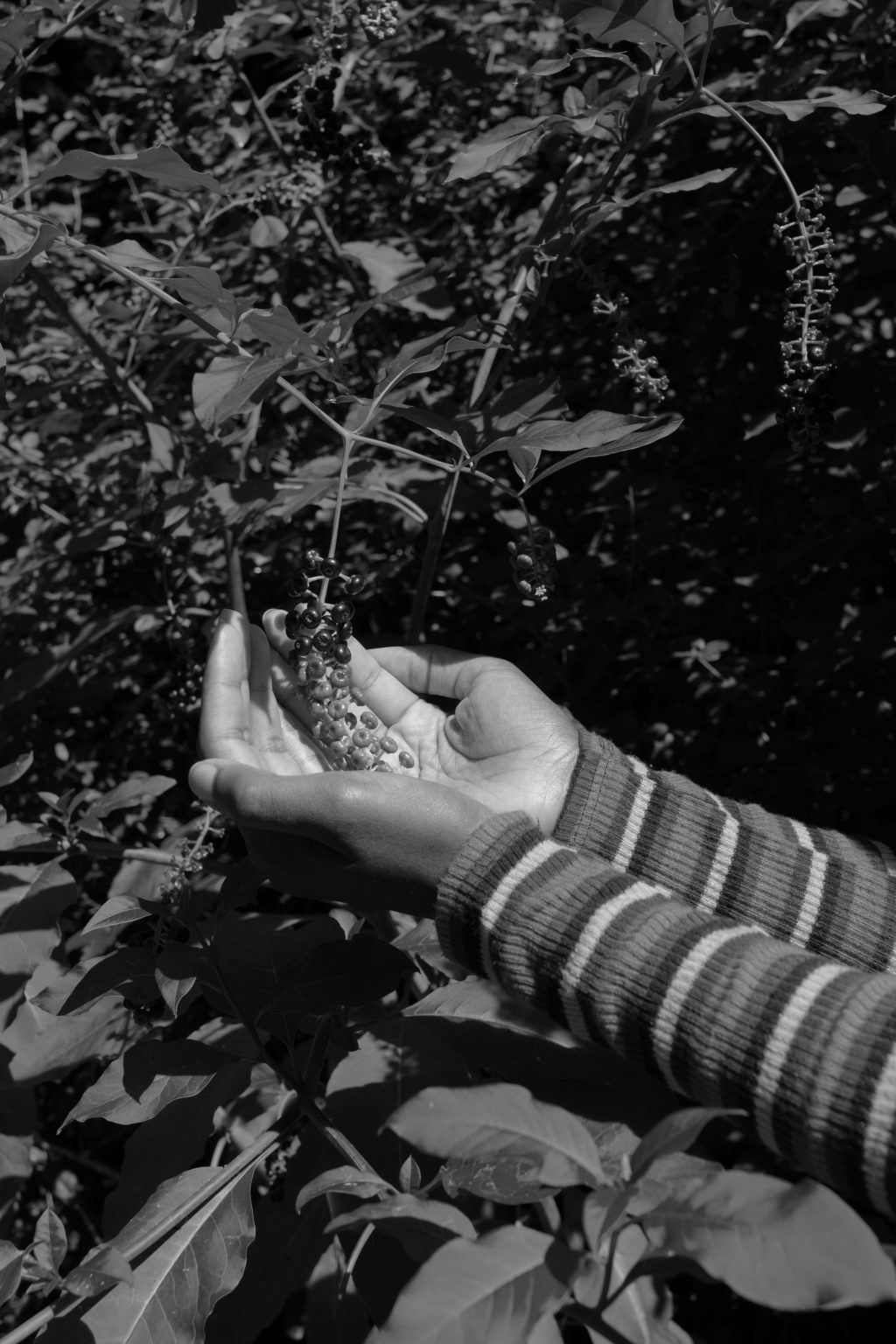 The Photographer Who Erased Time