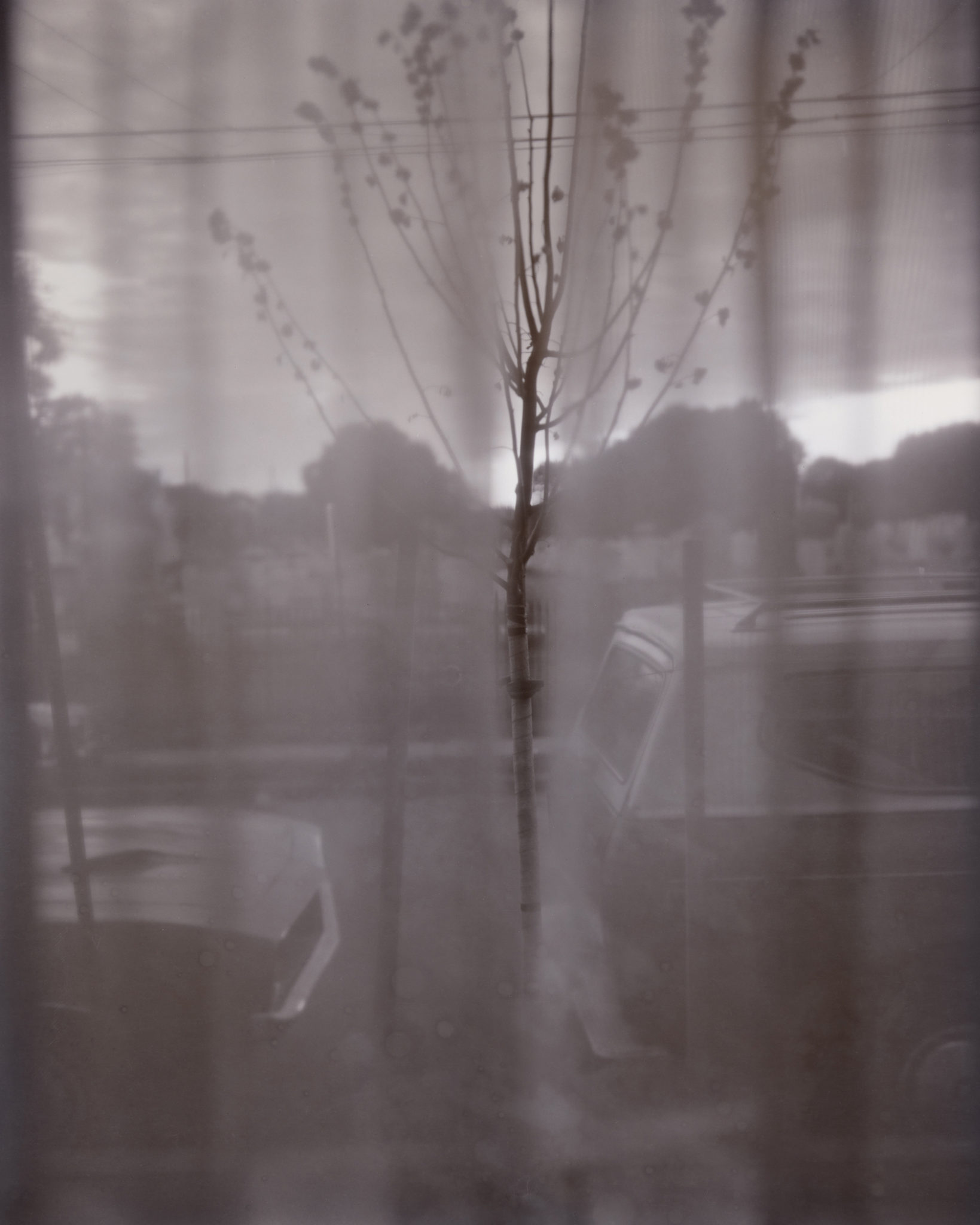 Judith Joy Ross's Timeless and Empathic Portraits