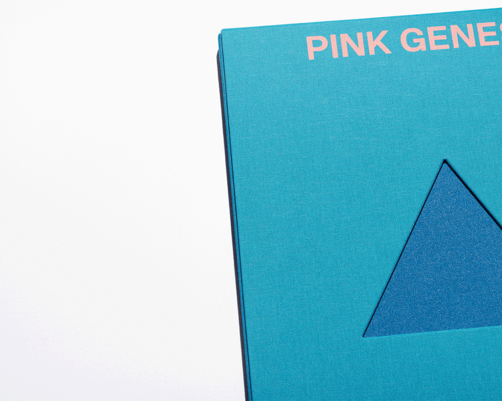 David Benjamin Sherry: Pink Genesis | Aperture