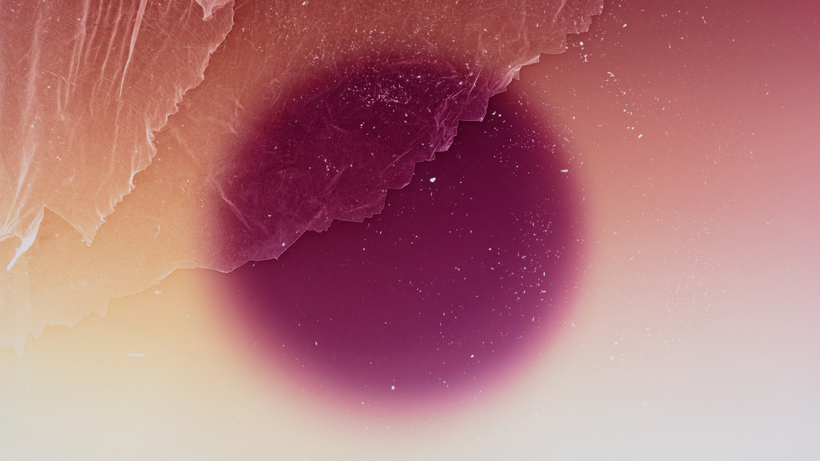 The Artist Creating Ethereal Photograms from the River Thames