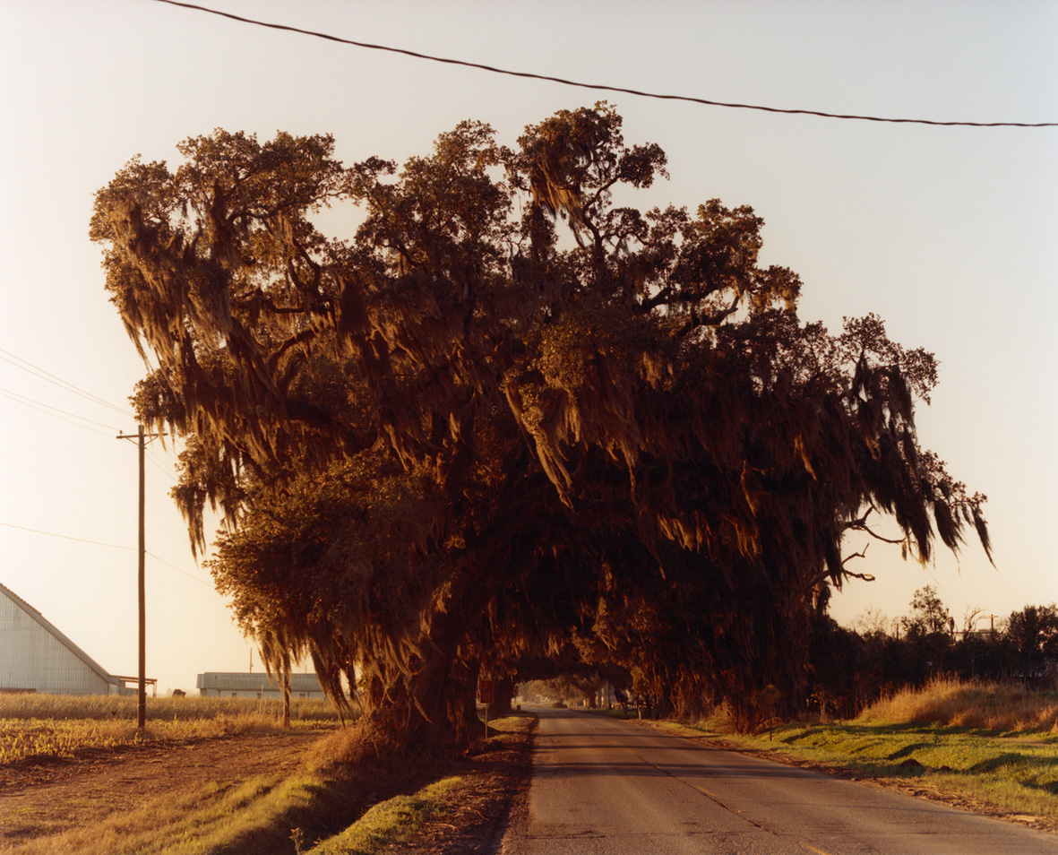 How a Photographer Creates a Dreamscape of Everyday Encounters