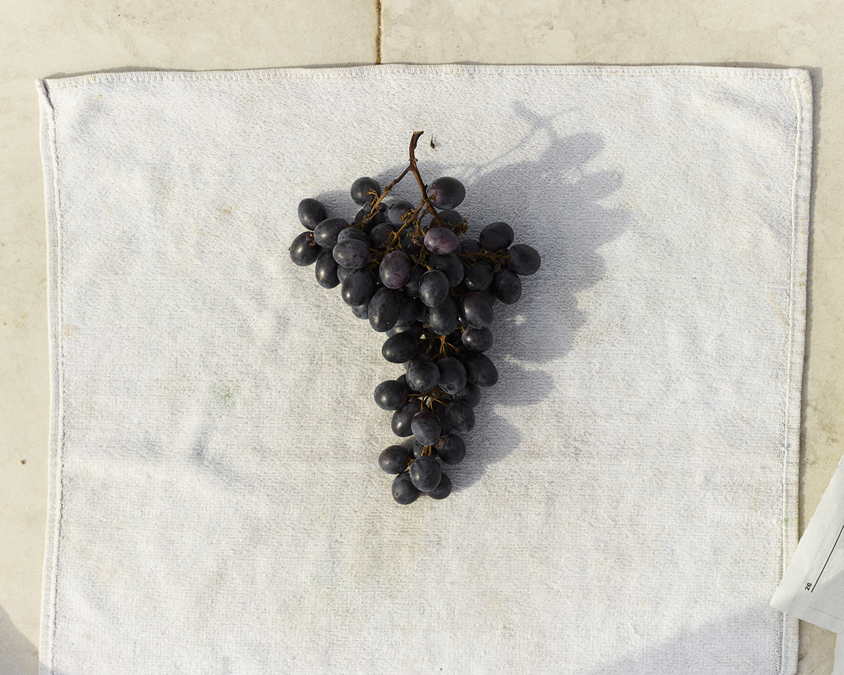 Instagram Live with Felipe Romero Beltrán | Aperture