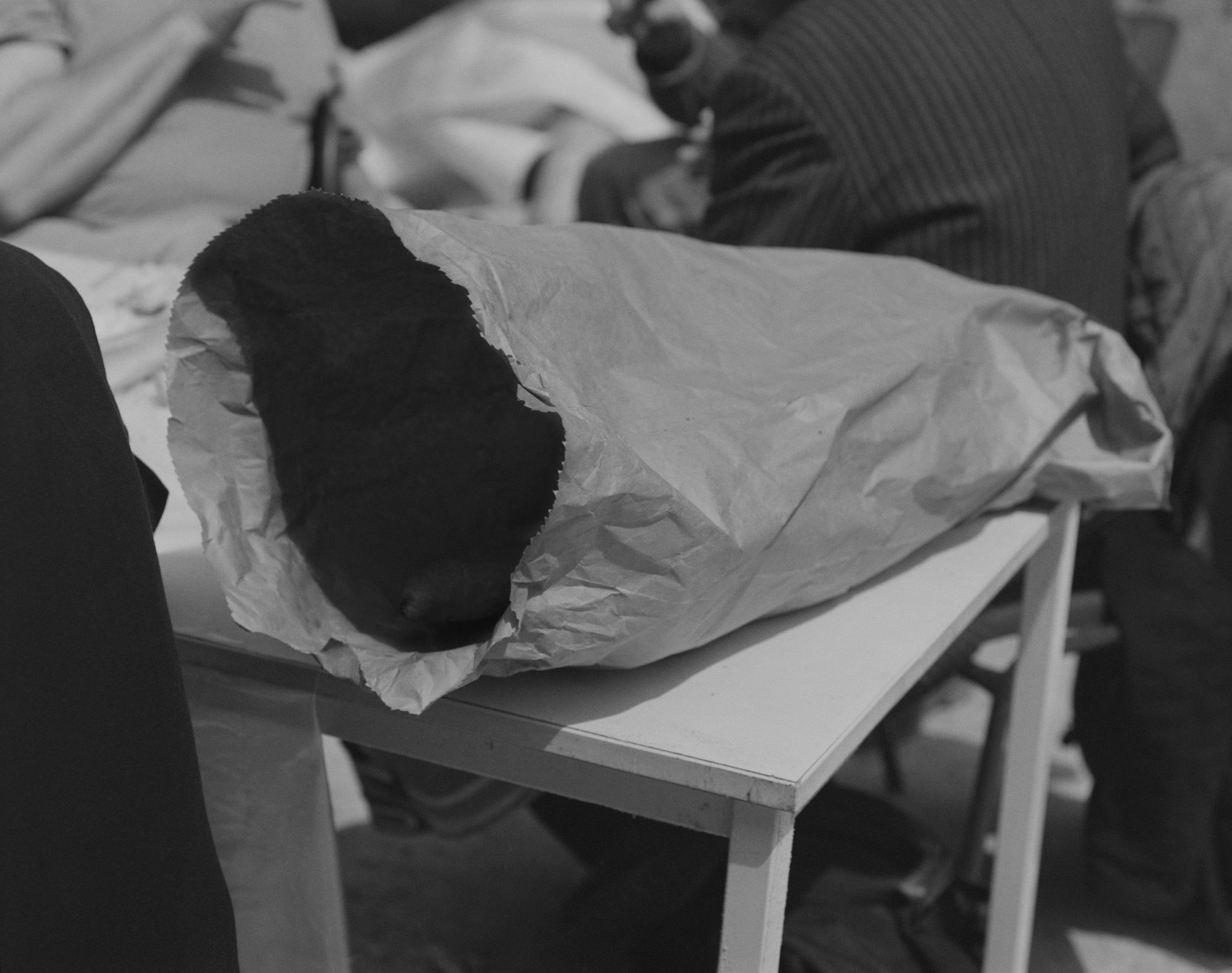 Tom Sandberg's Elusive Photographs Show Mysteries in Plain Sight