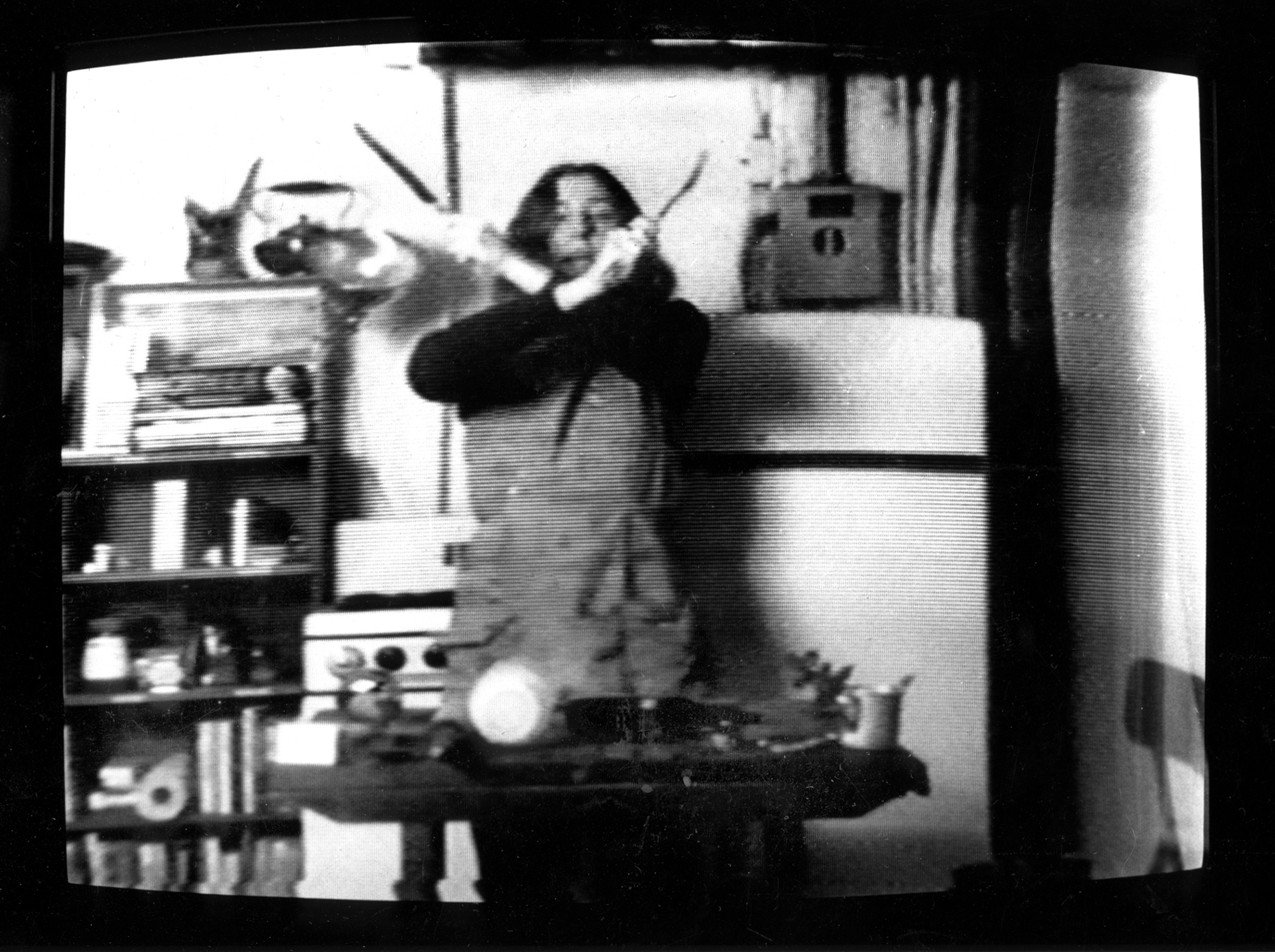 The Cutting Cleverness of Martha Rosler’s Collages | Aperture