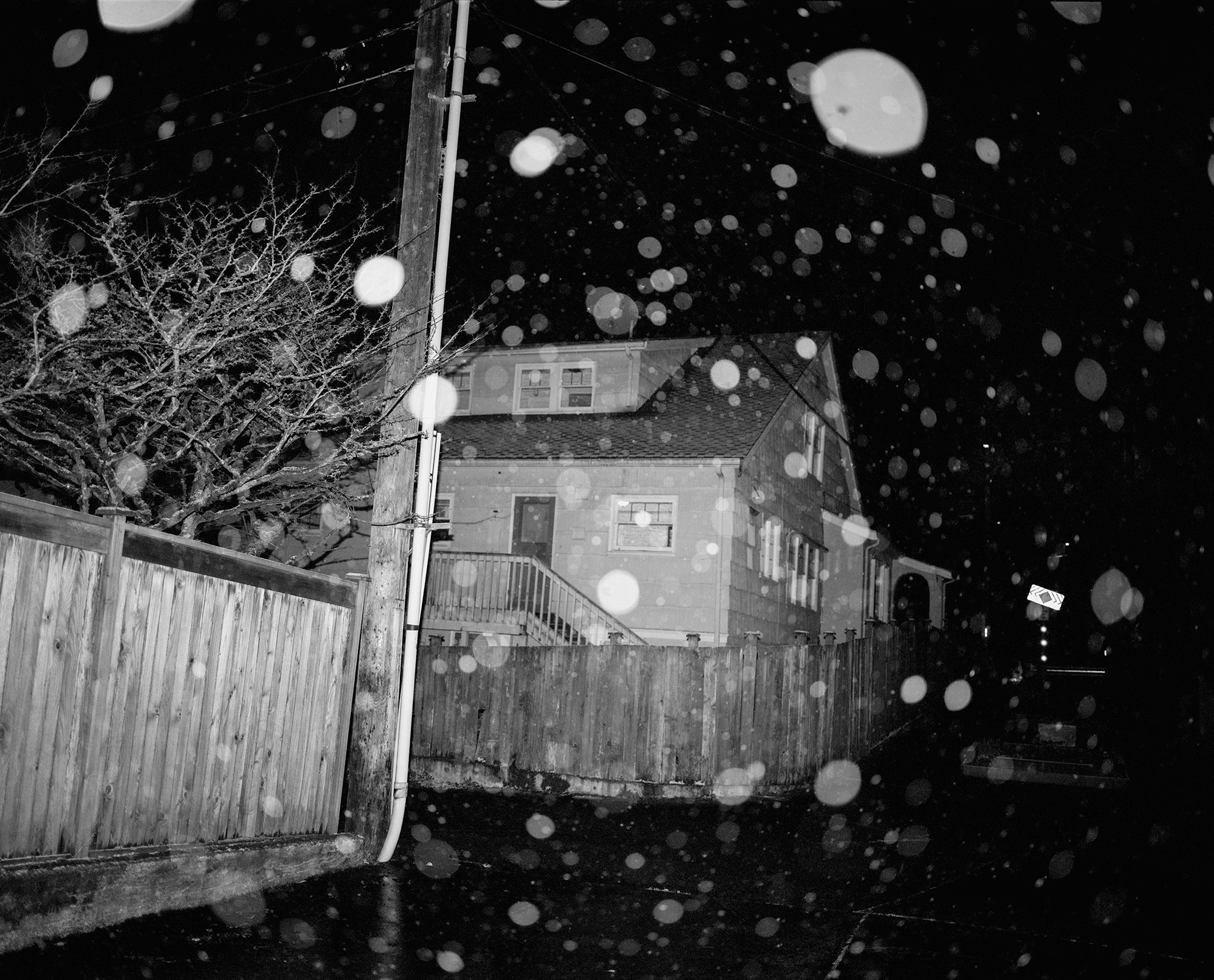 A Photographer’s Final Collaboration with His Father