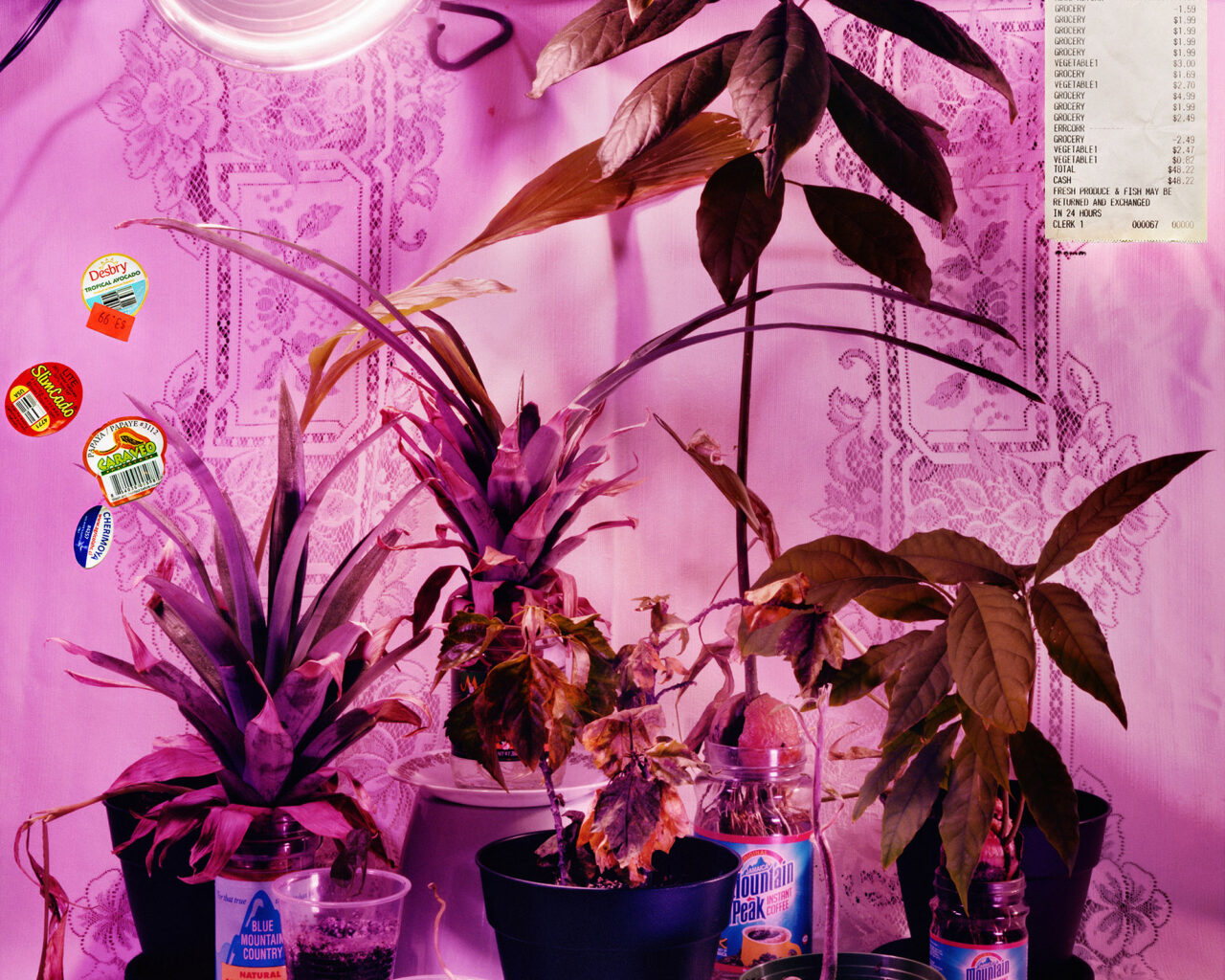 Samantha Box Archives | Aperture