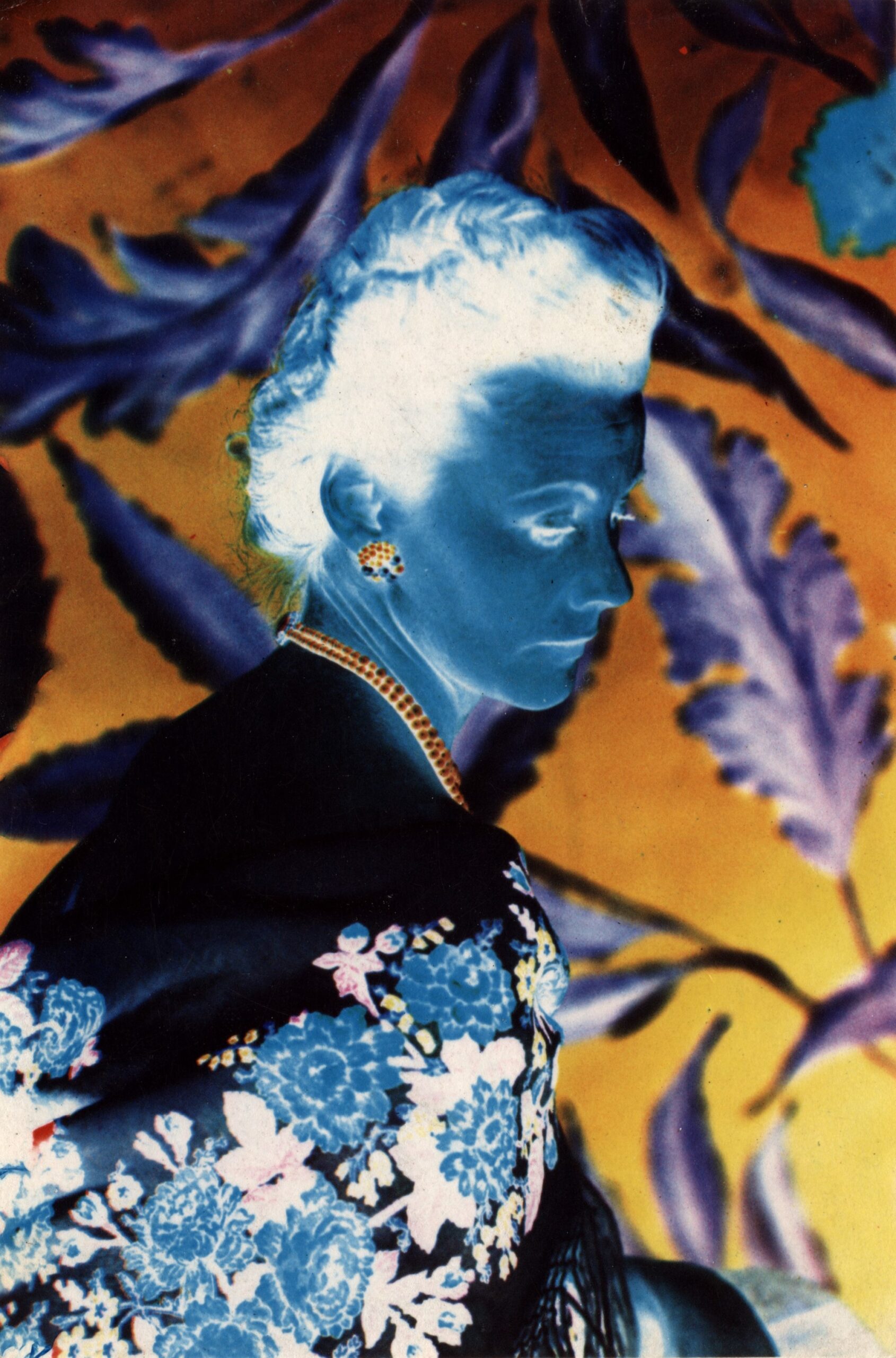 The Woman Who Revolutionized Color Photography