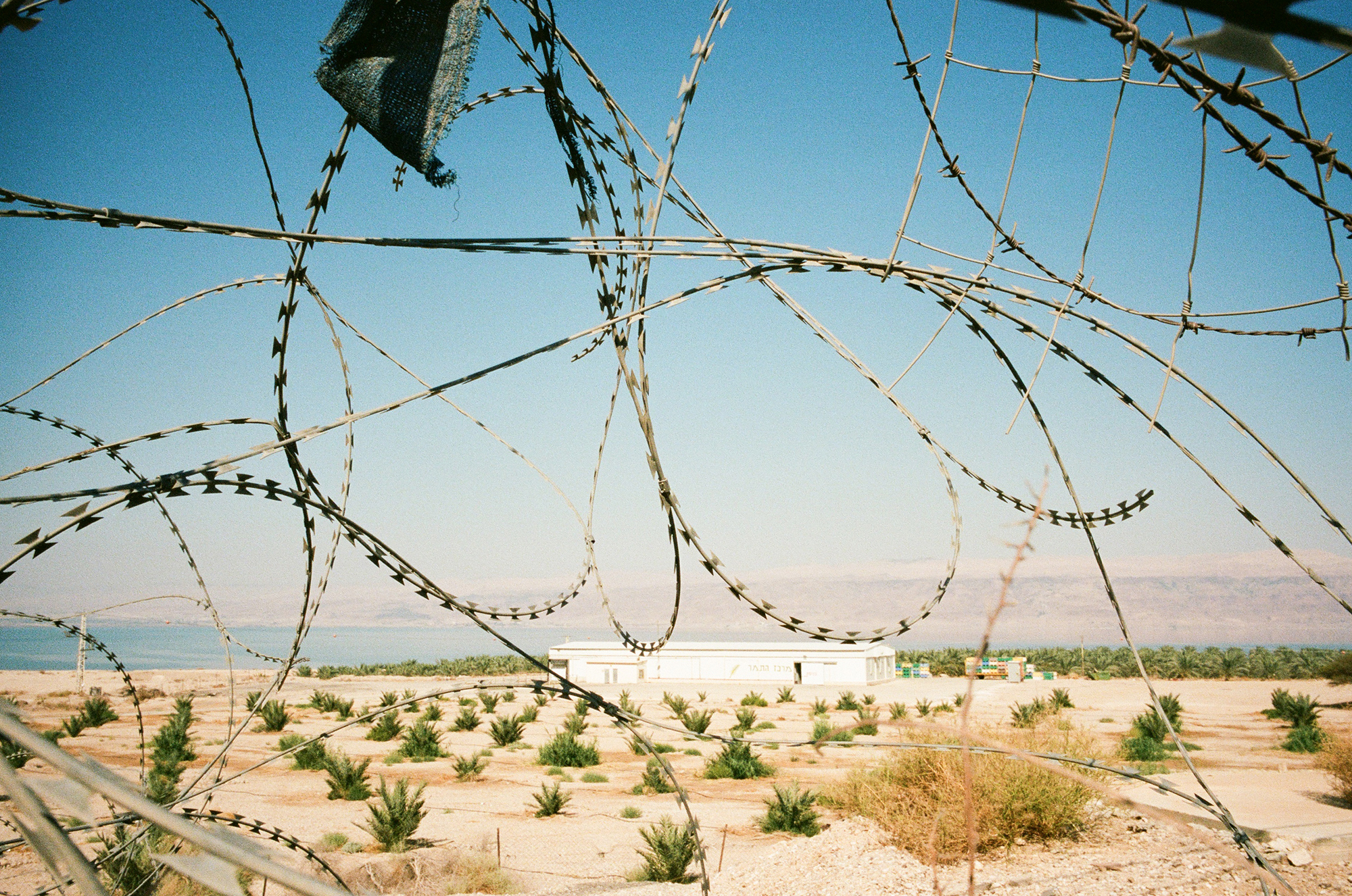 The Photographer Searching for Freedom in Palestine