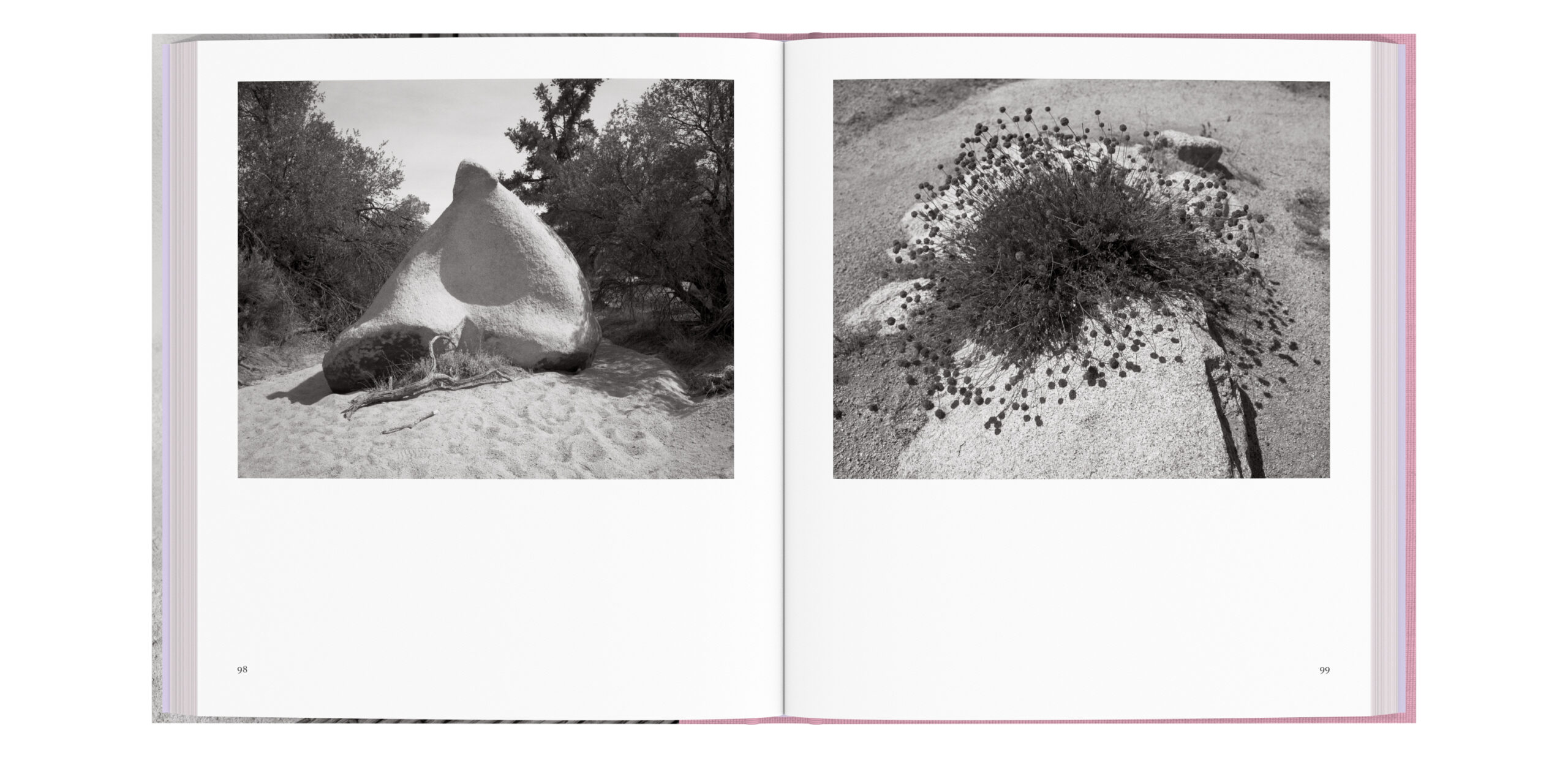 Kelli Connell: Pictures for Charis (2024)| Aperture Photobooks