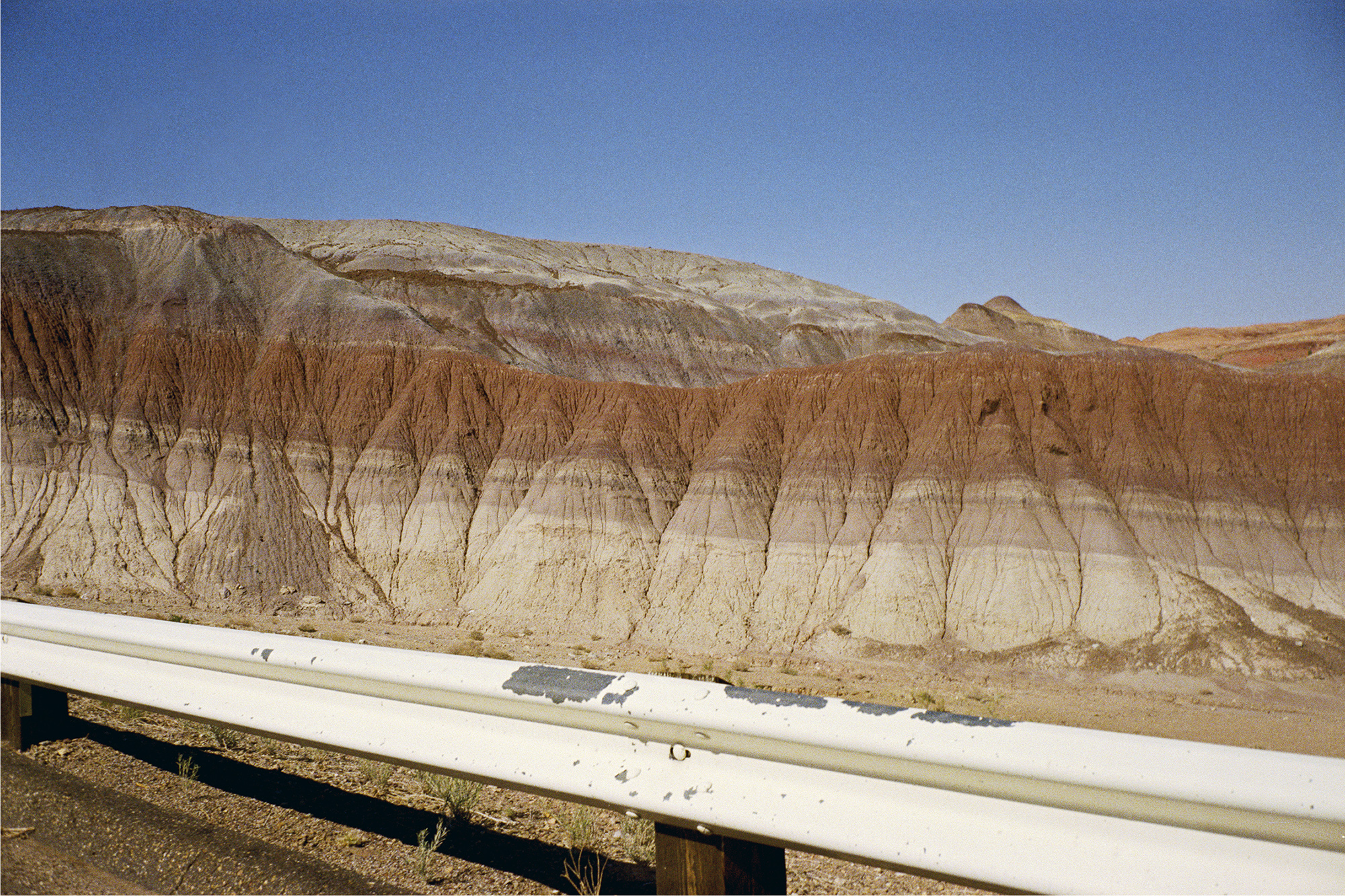 Stephen Shore’s American Beauty