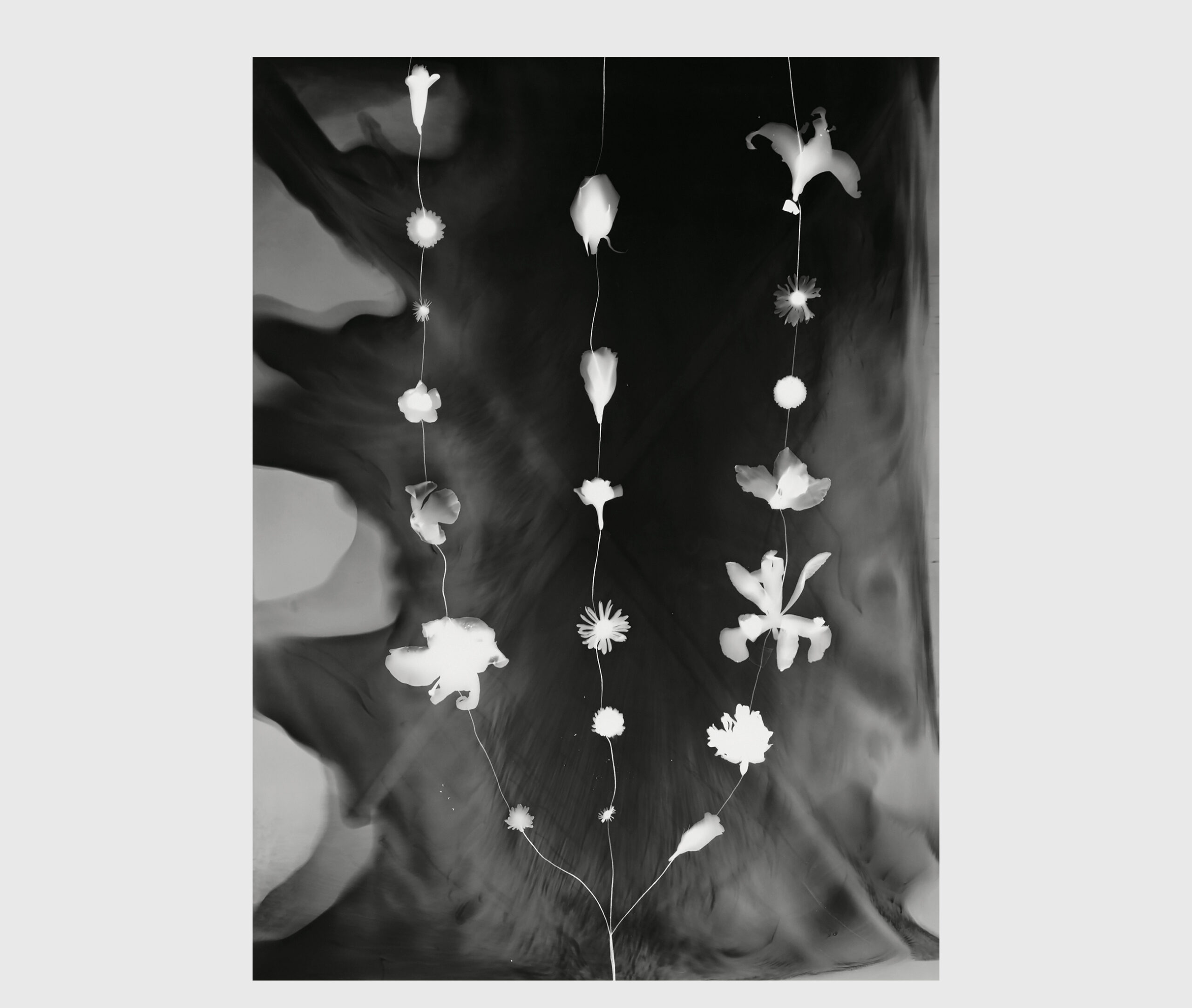 Celebrating the Influence of Japanese Women Photographers | Aperture