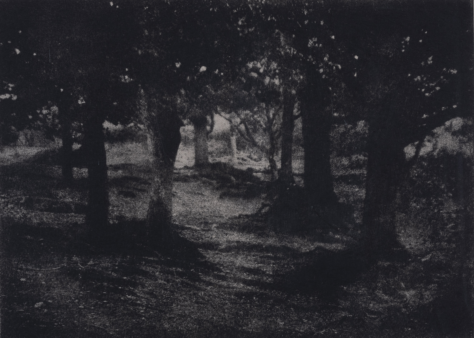 The Unsung Queen of French Pictorialism