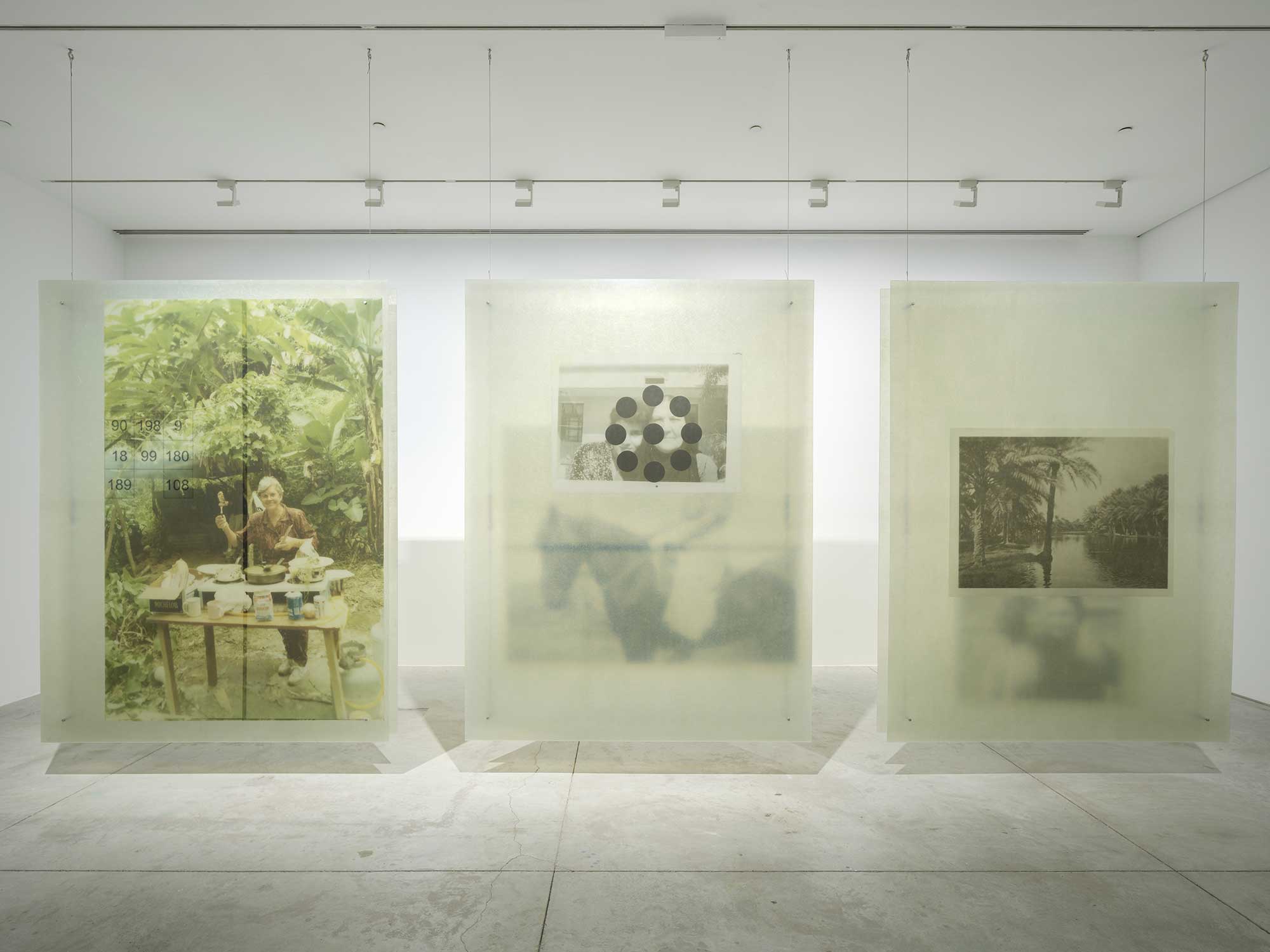 A Biennial Carries the Weight of a World in Crisis