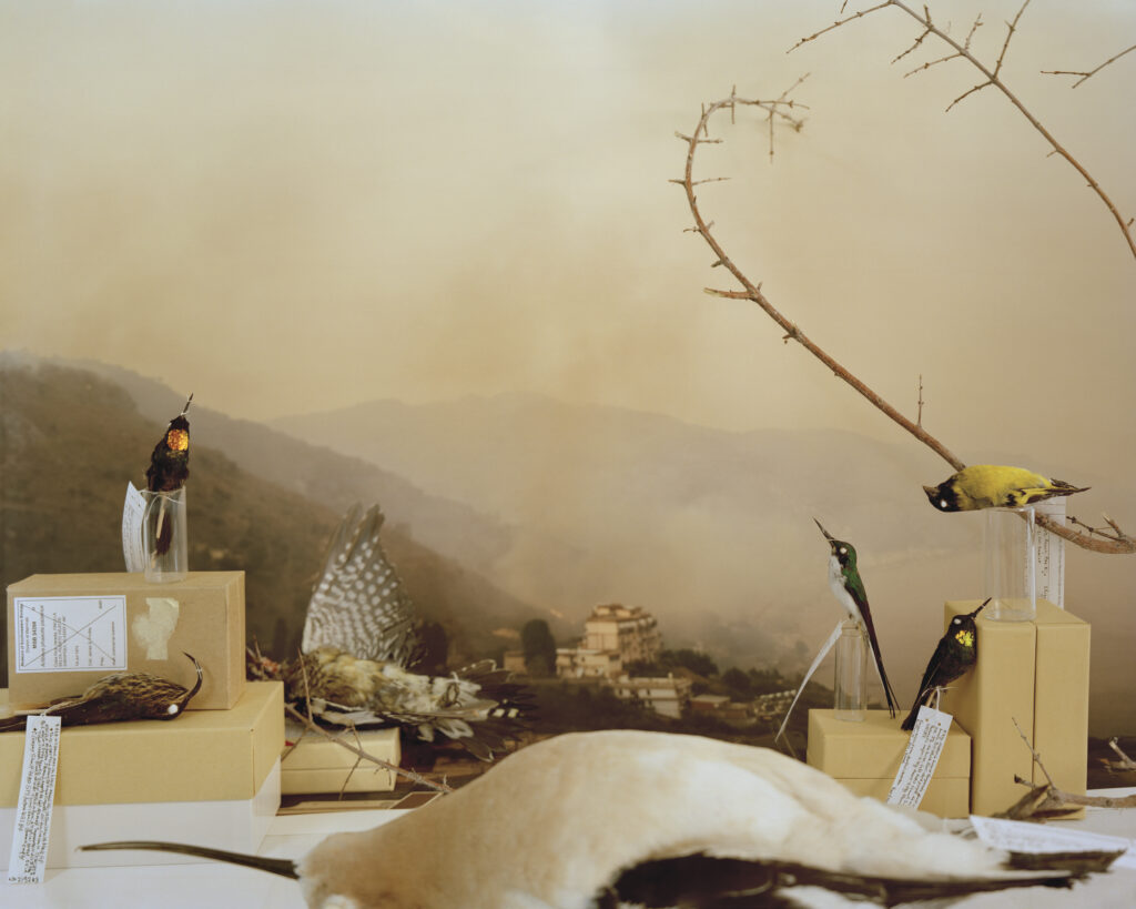 3-Shifting-Baseline-Syndrome-9d0d84e2-ab2f-4fbc-9630-f3fae0d6da83 ...